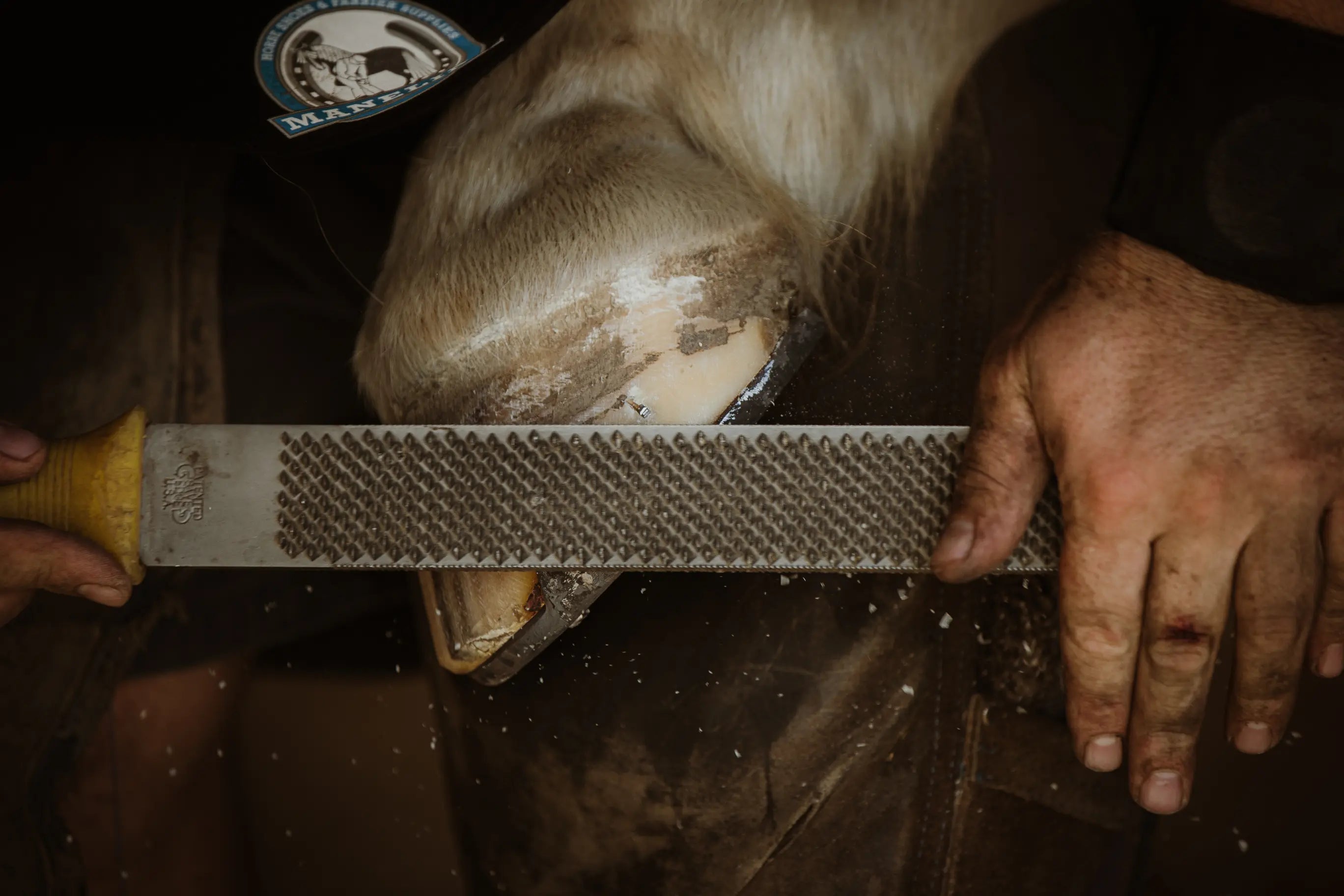 Premium Farrier Rasps Collection | Maneline Cambridge NZ