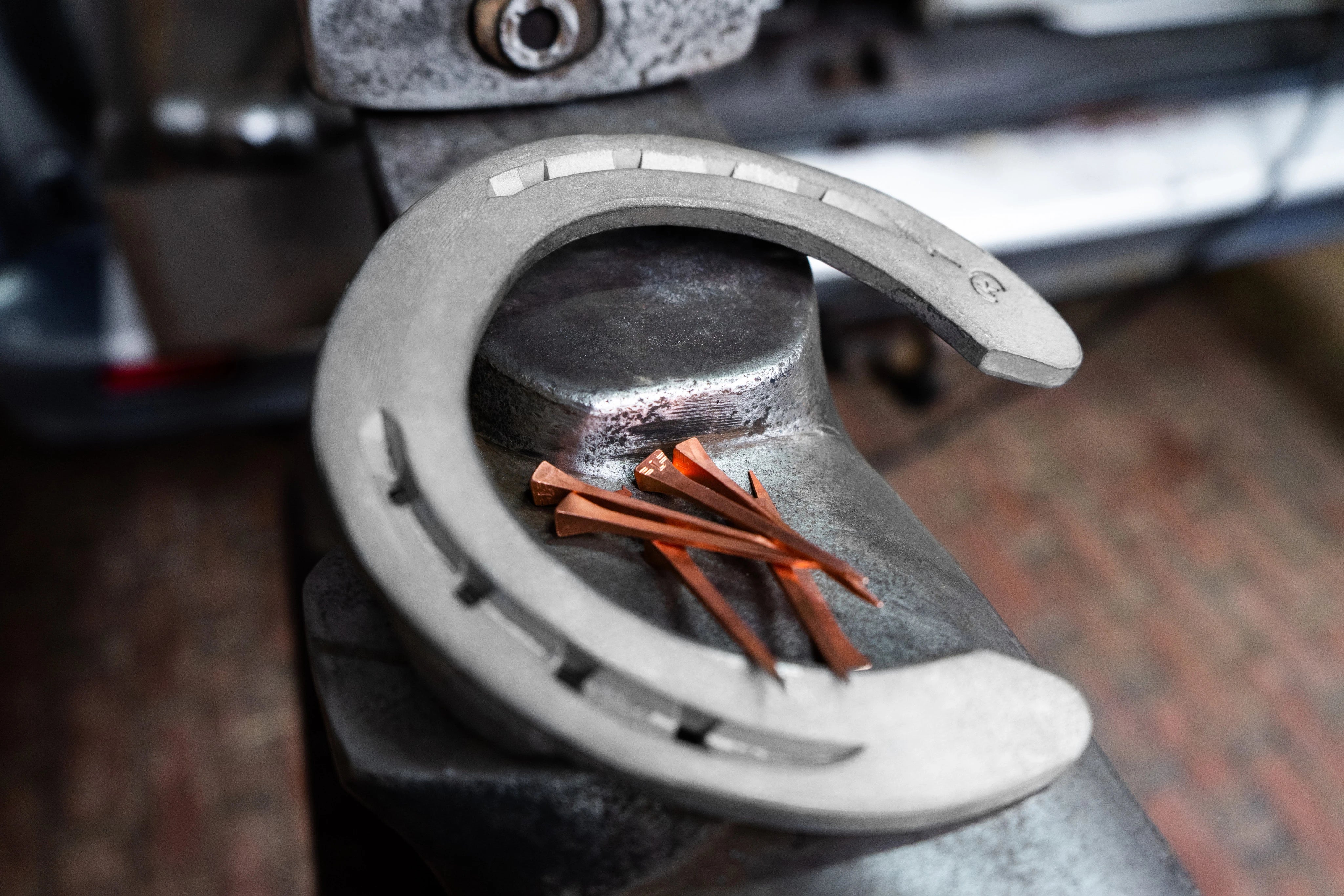 Premium Horseshoe Farrier Supplies | Maneline Cambridge NZ
