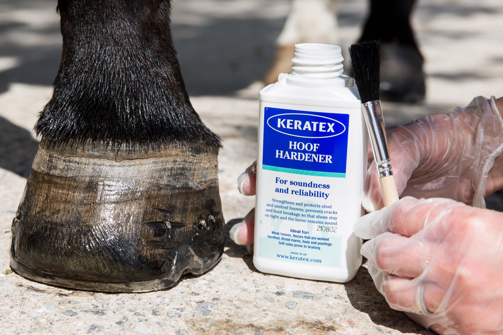 Premium Hoof Care Products for Horses | Maneline Cambridge NZ